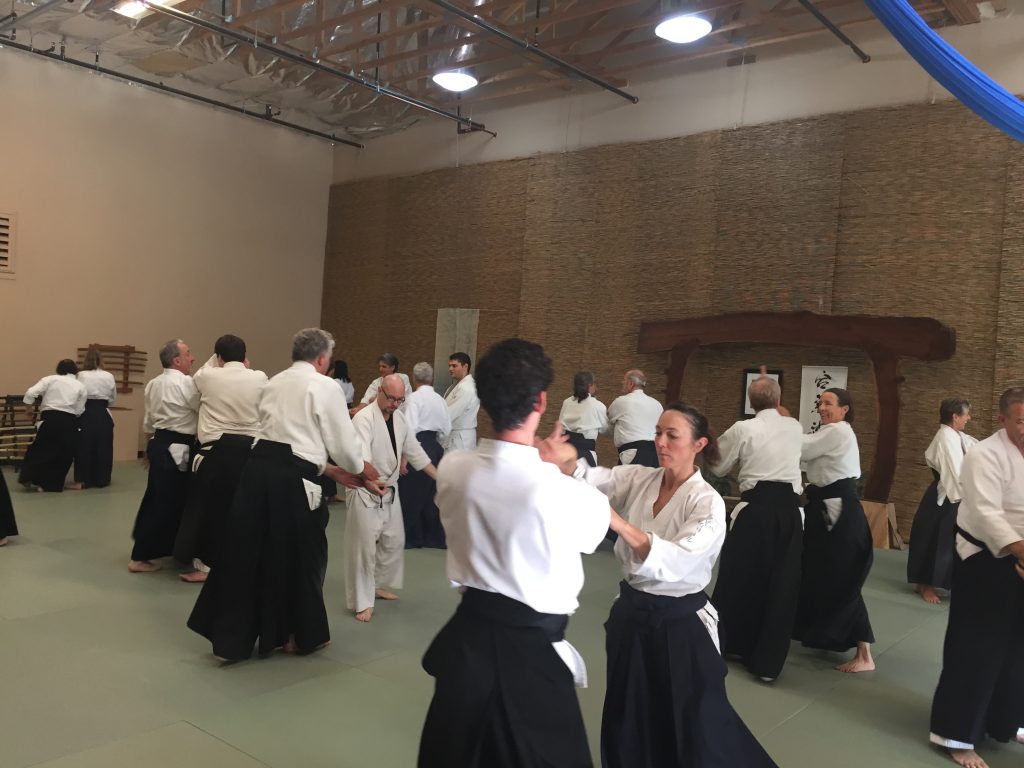 Aikido Class Schedule – Aikido & Healing Arts Center of Roseville ...